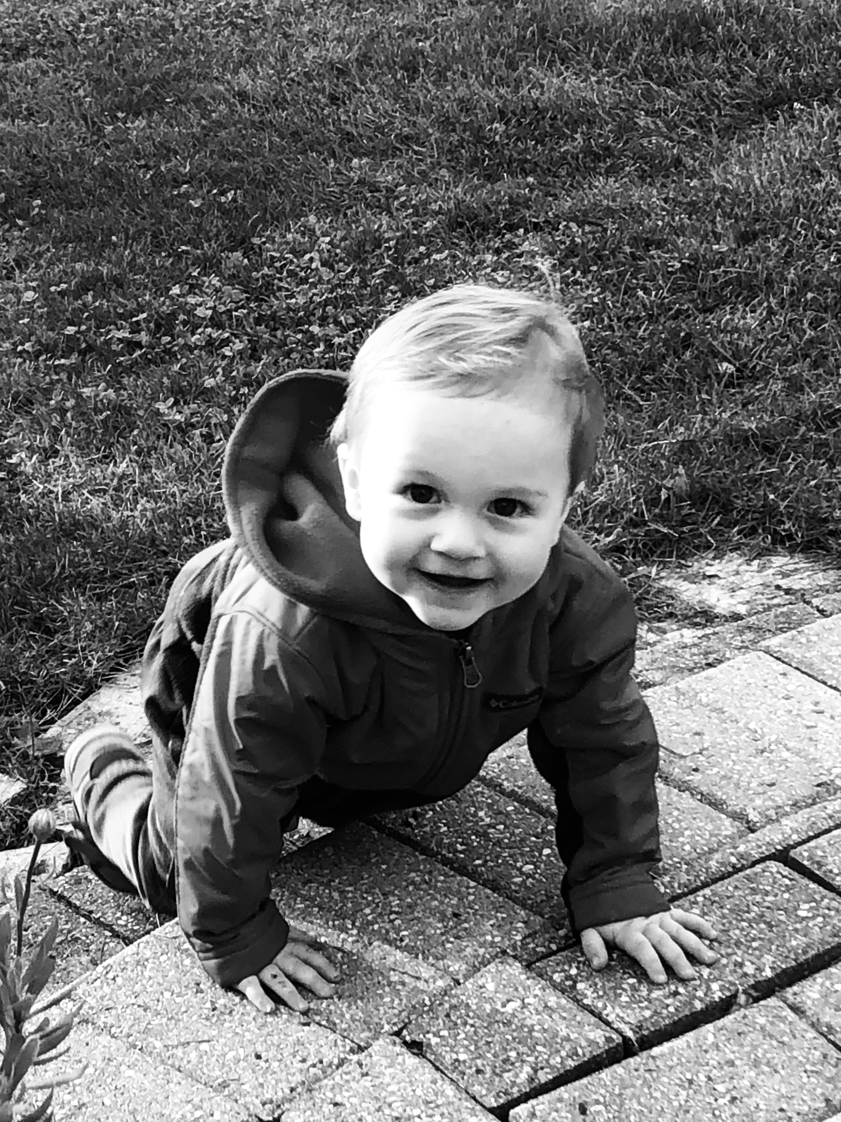 Bryce Quinn Mazur - Willow House